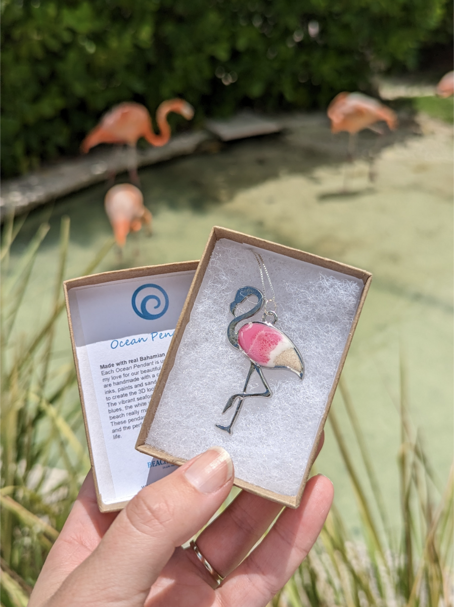 Flamingo (National Bird of the Bahamas) – Beachedtreasures_nassau